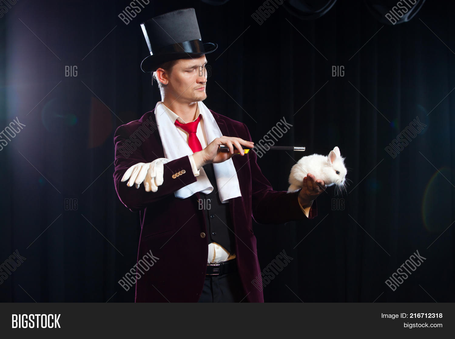 Magician Rabbit, Image & Photo (Free Trial) | Bigstock