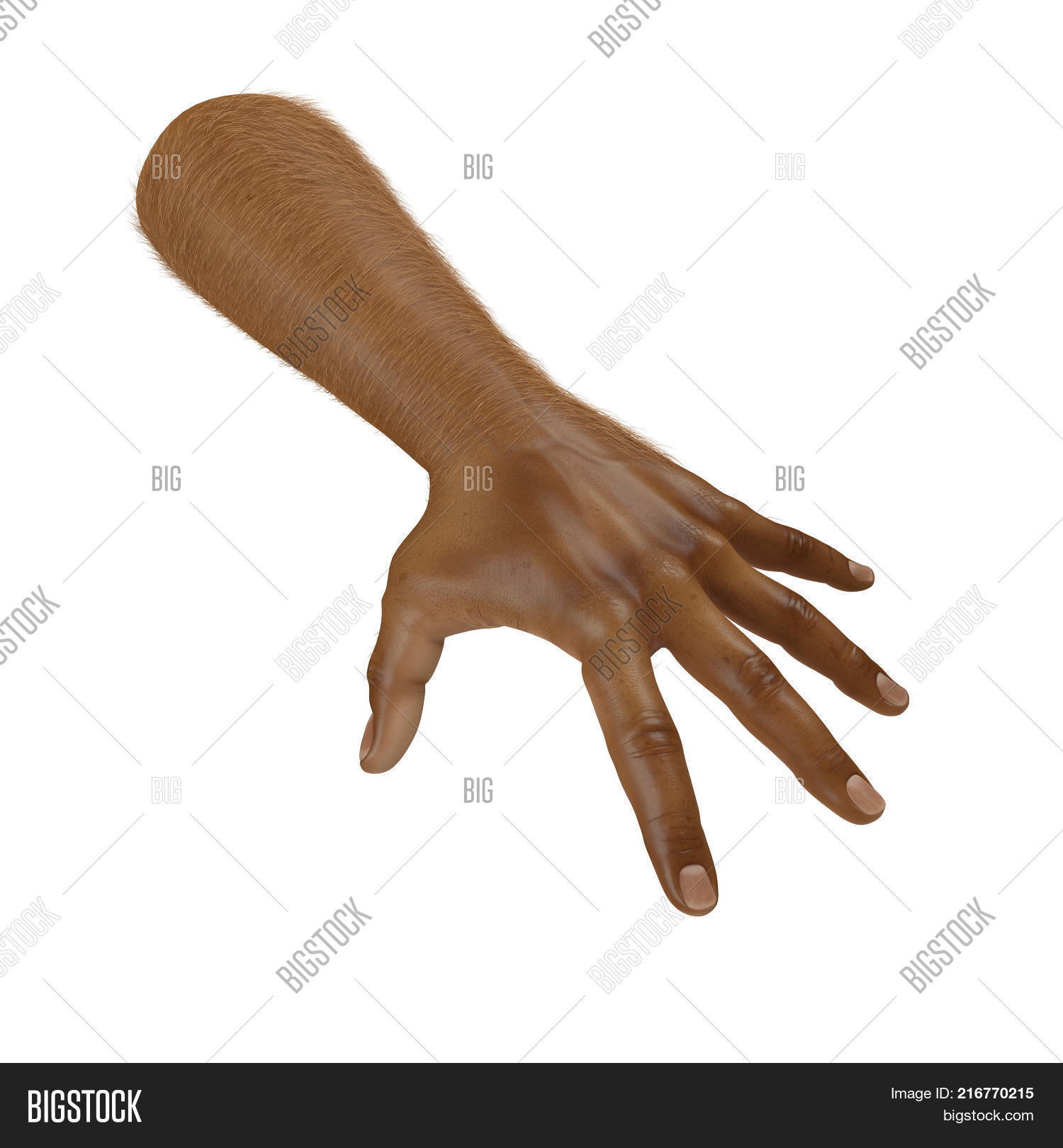 Man Hands Swarthy Skin Image & Photo (Free Trial) | Bigstock