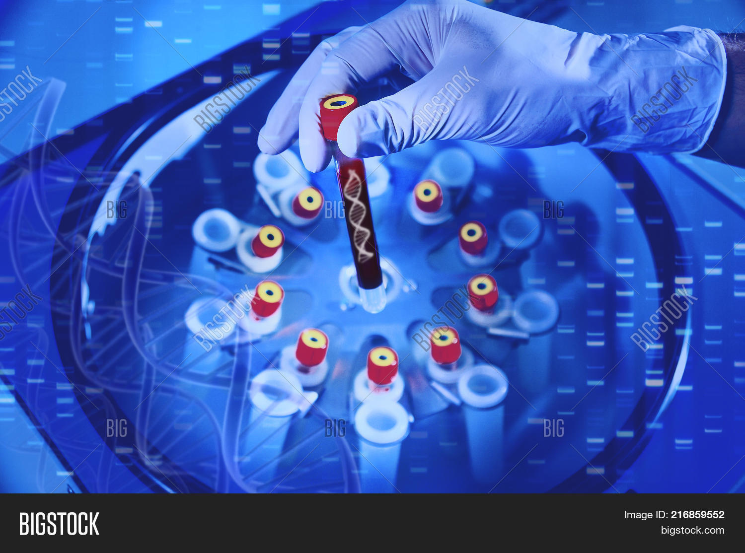 Analysis Dnk. Hand Image & Photo (Free Trial) | Bigstock