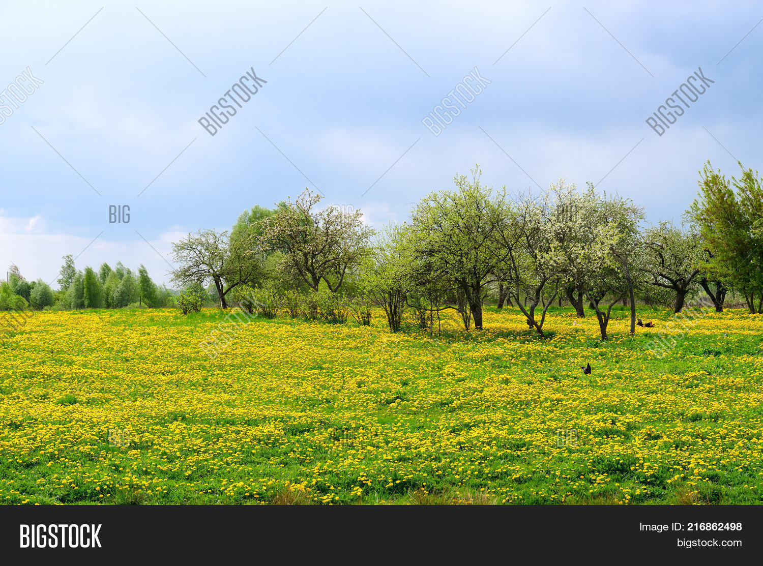 May Rural Landscape Image & Photo (Free Trial) | Bigstock