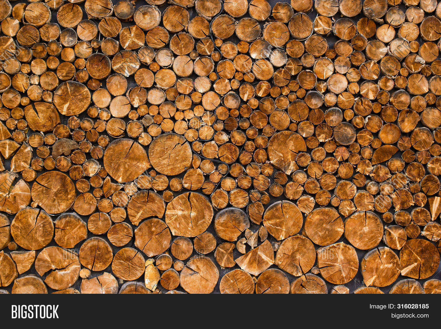 View End Cut Wood Tree Image & Photo (Free Trial) | Bigstock