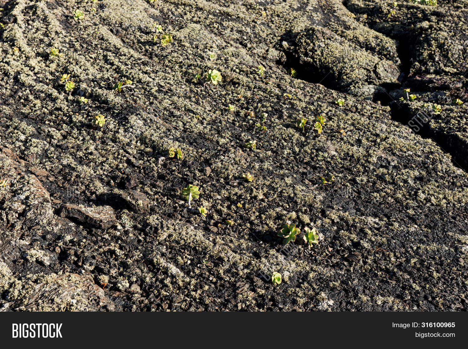 Surface Frozen Lava Image & Photo (Free Trial) | Bigstock