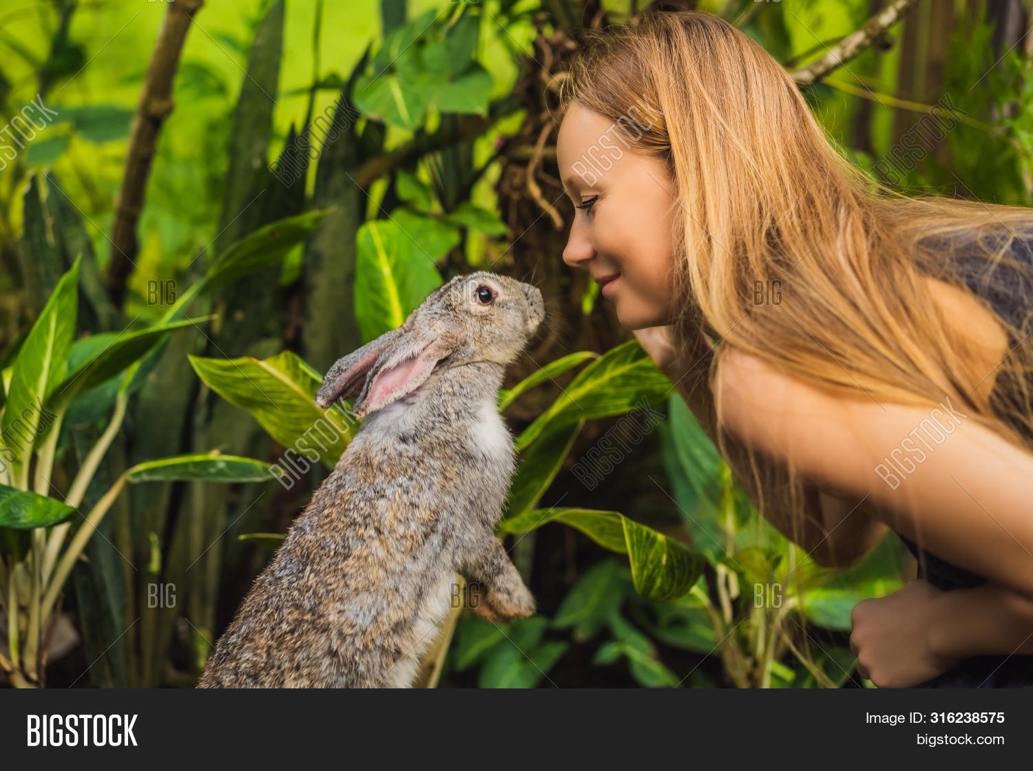 Woman Holding Rabbit. Image & Photo (Free Trial) | Bigstock