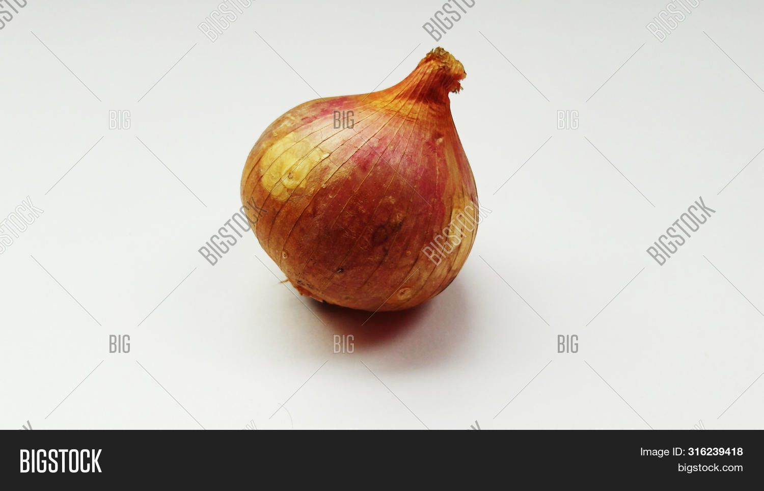Fresh Onion Isolated Image & Photo (Free Trial) | Bigstock