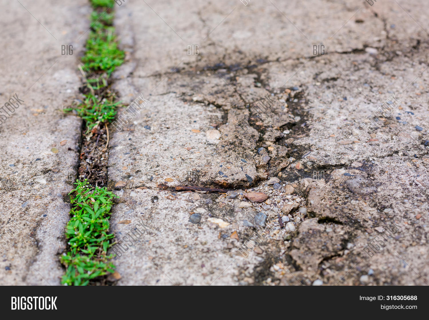 Worn Cracked Asphalt Image & Photo (Free Trial) | Bigstock
