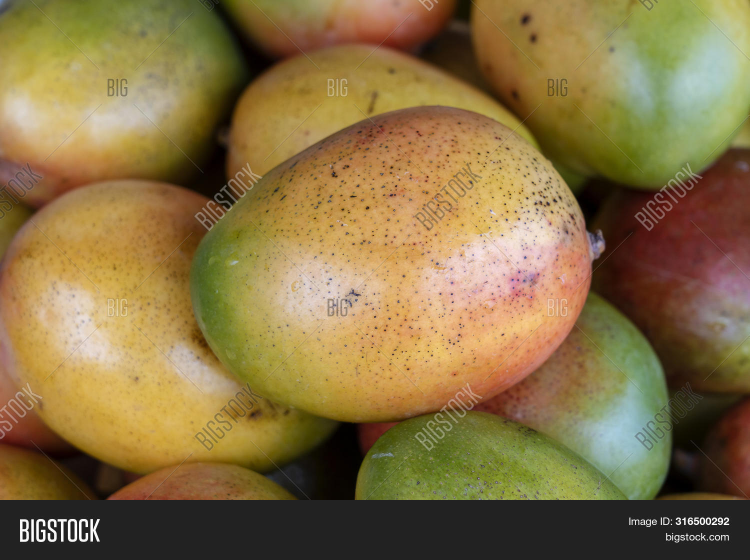 Fresh Colorful Image & Photo (Free Trial) | Bigstock