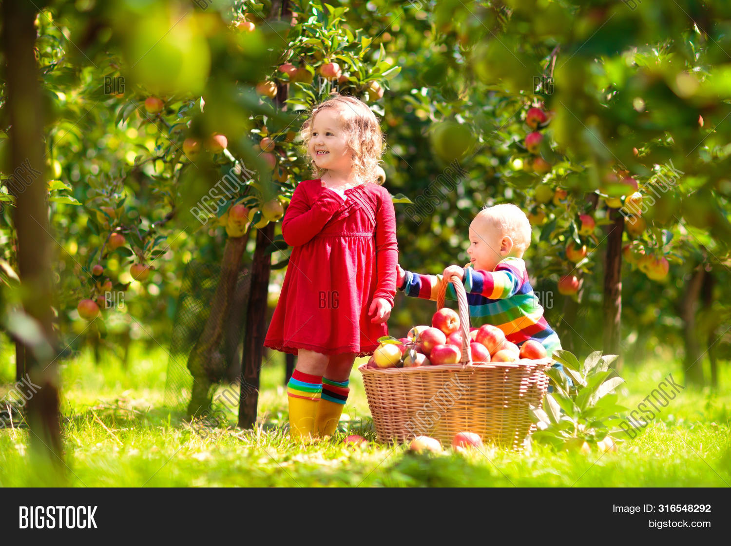 Kids Apple Picking