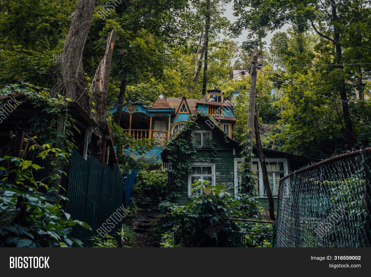 Village House Forest Image & Photo (Free Trial) | Bigstock