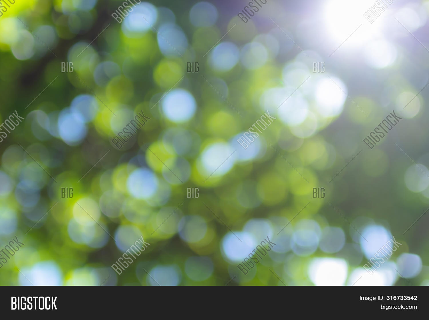 Imagen y foto Blurred Green Tree (prueba gratis) | Bigstock
