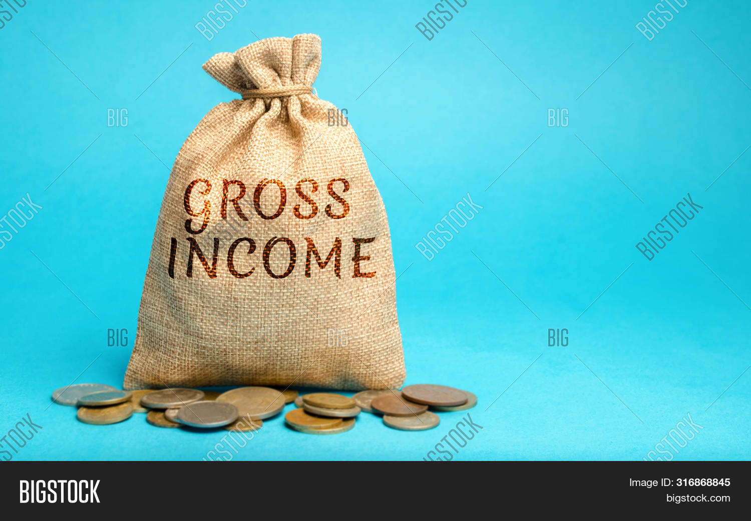 Money Bag Word Gross Image & Photo (Free Trial) | Bigstock