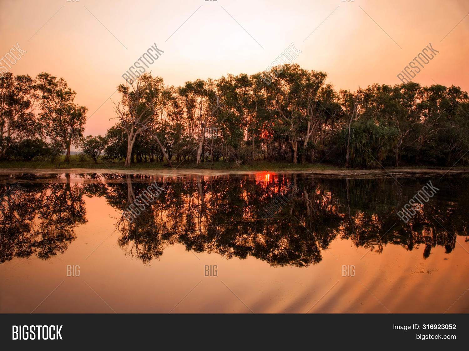 Twilight Sunset Swamp Image & Photo (Free Trial) | Bigstock