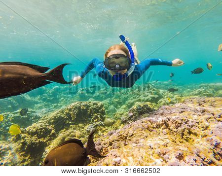 Woman Diving Into Water Images, Illustrations & Vectors (Free) - Bigstock