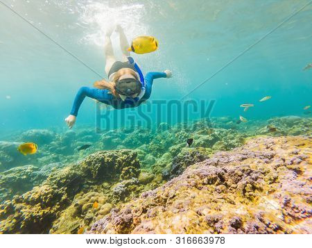 Woman Diving Into Water Images, Illustrations & Vectors (Free) - Bigstock