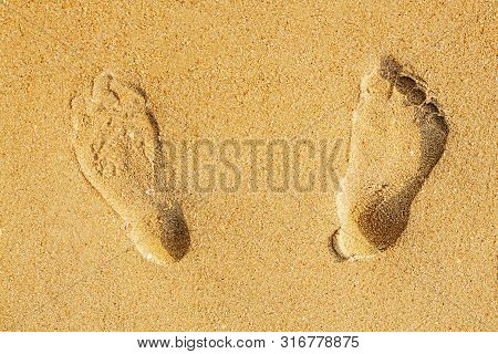 Two Well-shaped Human Image & Photo (Free Trial) | Bigstock