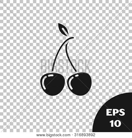 Black Cherry 벡터 및 사진(무료 체험) | Bigstock