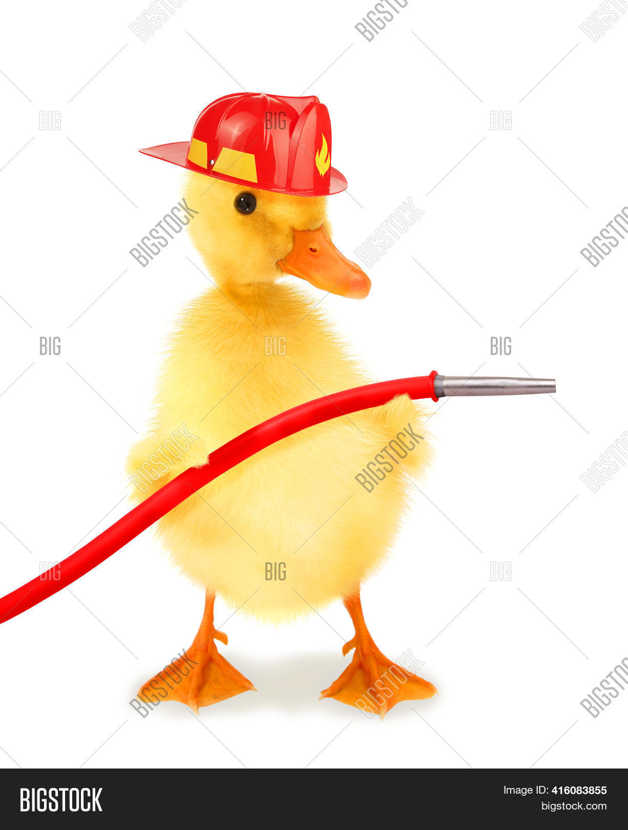 Cute Cool Duckling Image & Photo (Free Trial) | Bigstock