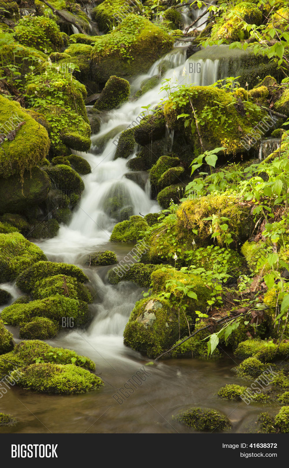 Rushing Water Flows Image & Photo (Free Trial) | Bigstock