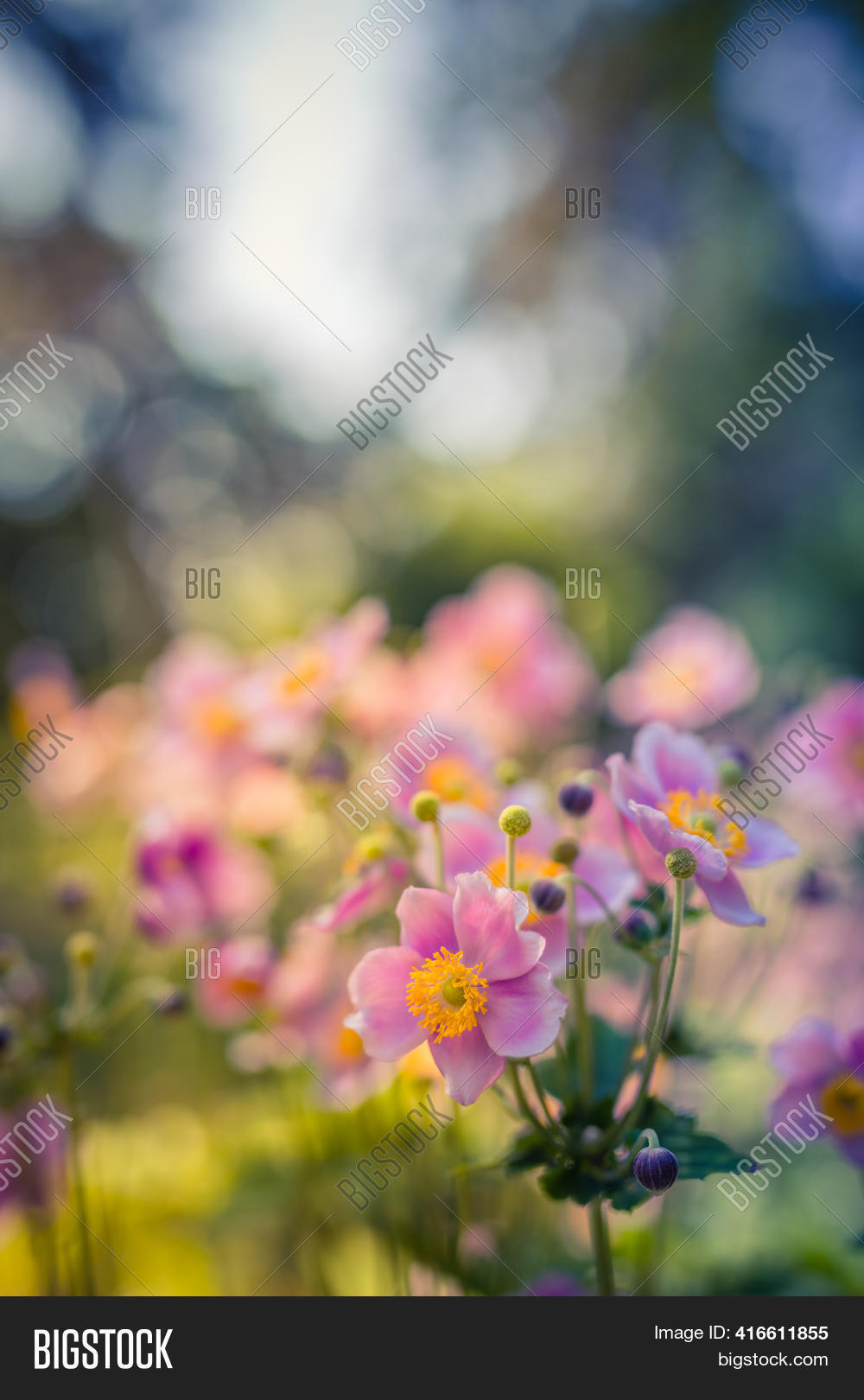 Stunning Floral Image & Photo (Free Trial) | Bigstock