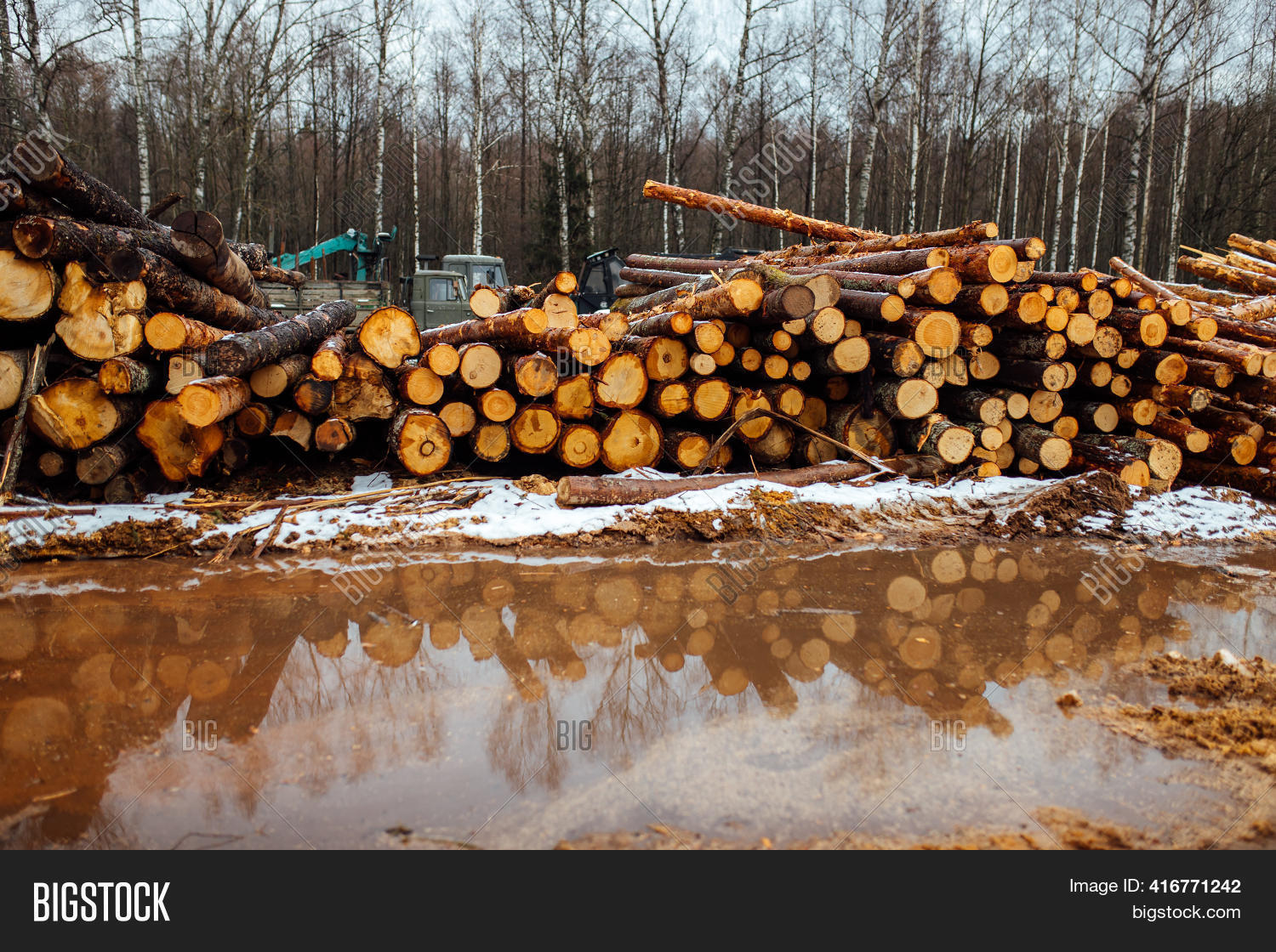 Crane Loads Trees. Cut Image & Photo (Free Trial) | Bigstock