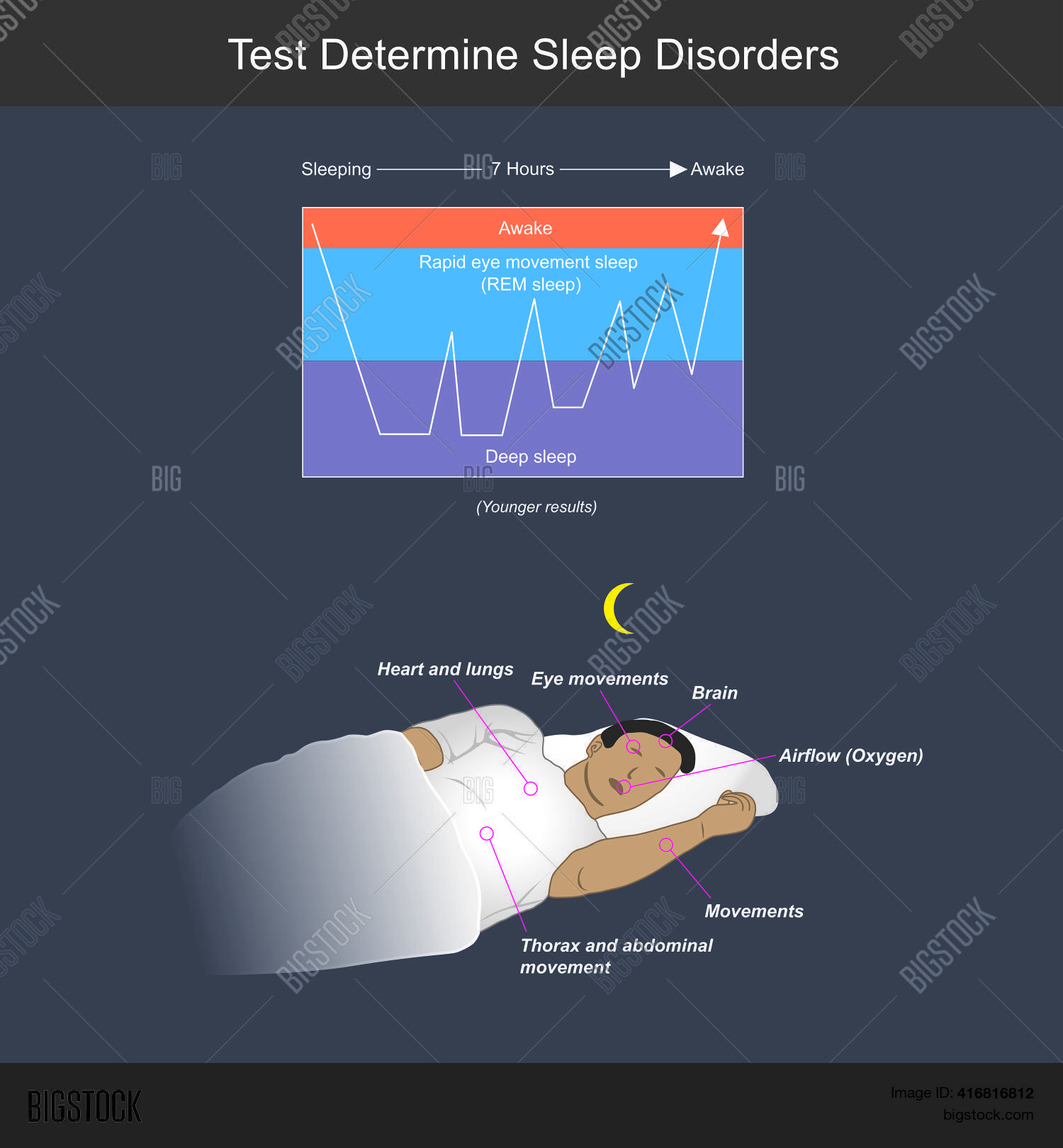 Test Determine Sleep Vector & Photo (Free Trial) | Bigstock
