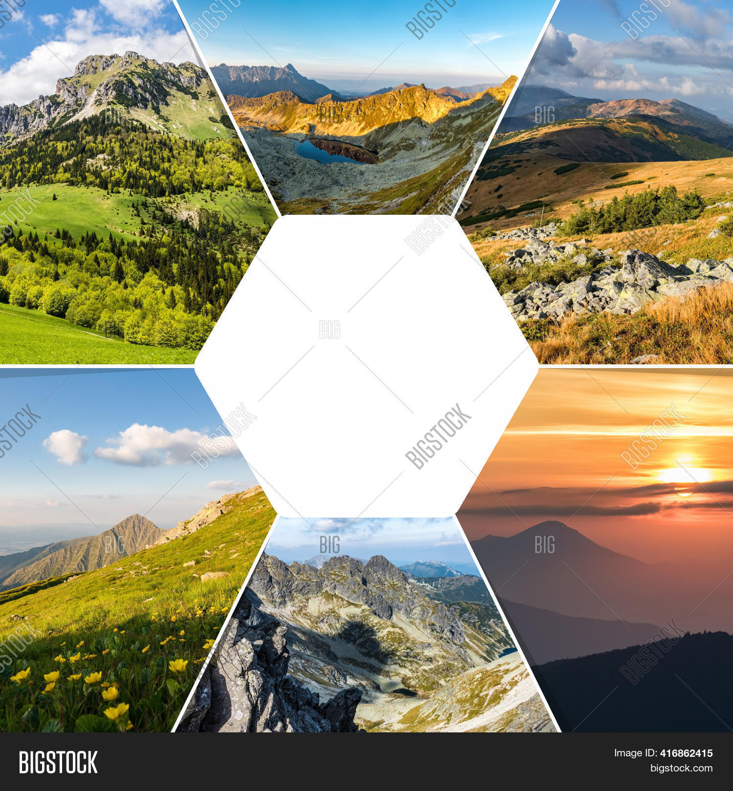 Collage Nature Photos Image & Photo (Free Trial) | Bigstock