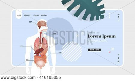 Human Body Structure Vector & Photo (Free Trial) | Bigstock