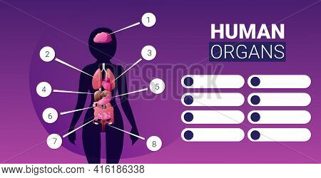 Human Body Structure Vector & Photo (Free Trial) | Bigstock