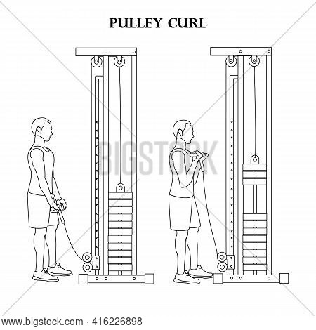 Pulley Curl Exercise Vector & Photo (Free Trial) | Bigstock