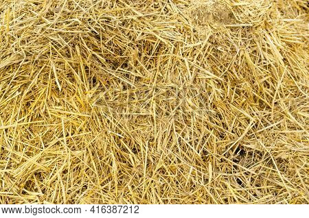 Hay Bale Background. Image & Photo (Free Trial) | Bigstock