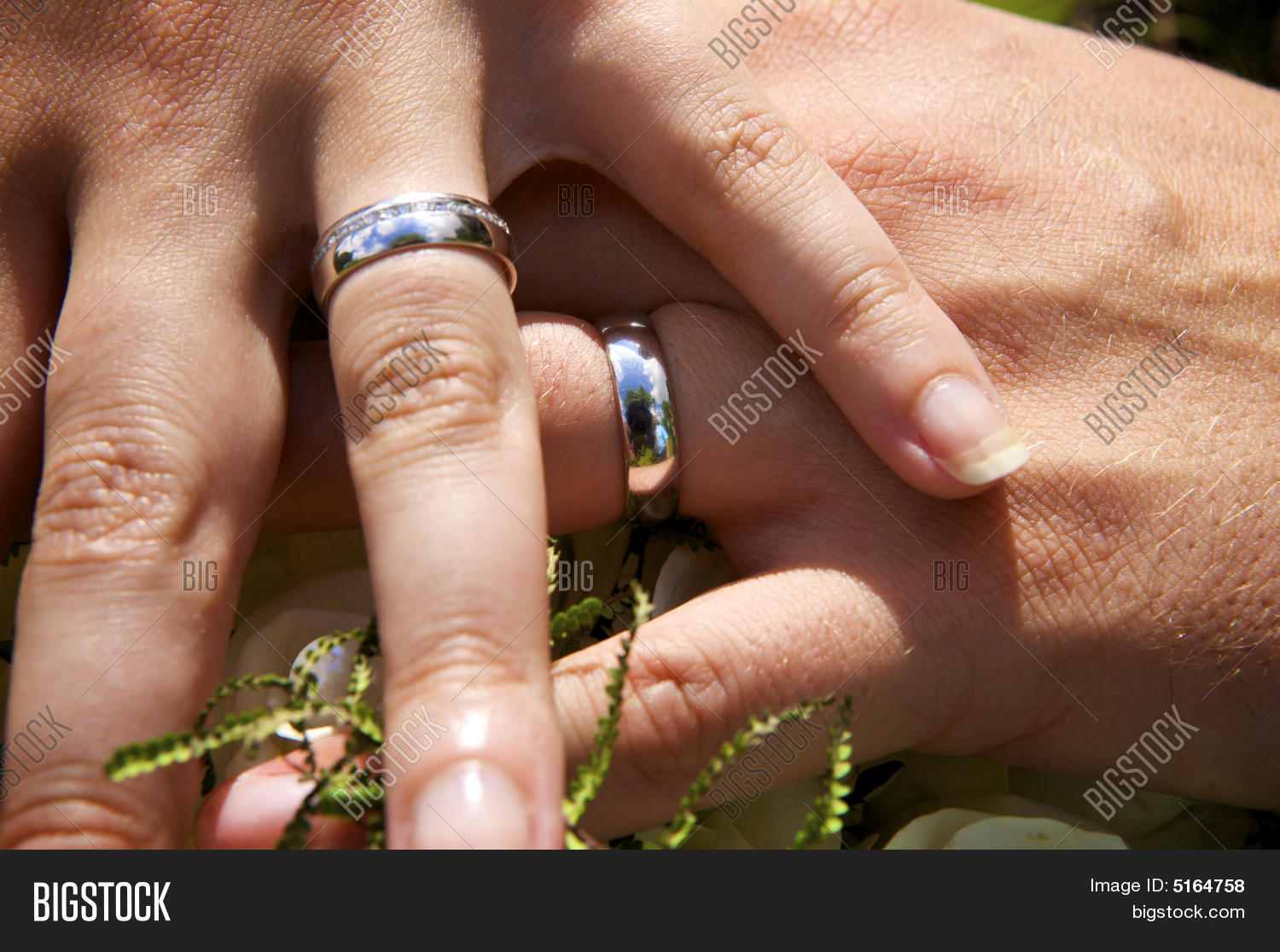 Two Hands Together Image & Photo (Free Trial) | Bigstock