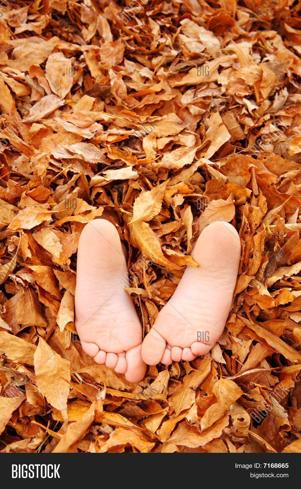 Childs Feet Buried Image & Photo (Free Trial) | Bigstock
