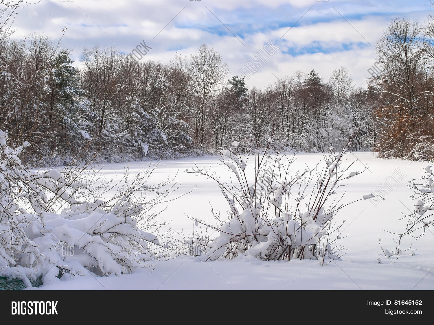 Winter Pond Image & Photo (Free Trial) | Bigstock