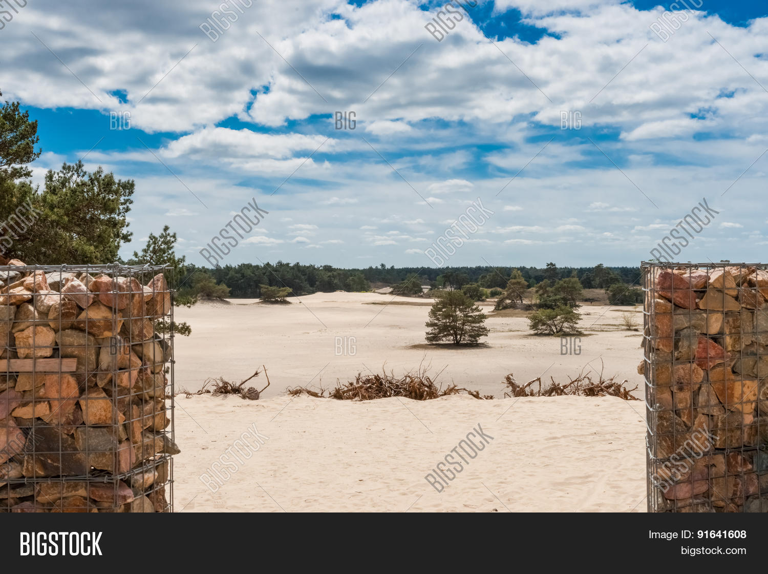 Sand Plain Dunes Dutch Image & Photo (Free Trial) | Bigstock