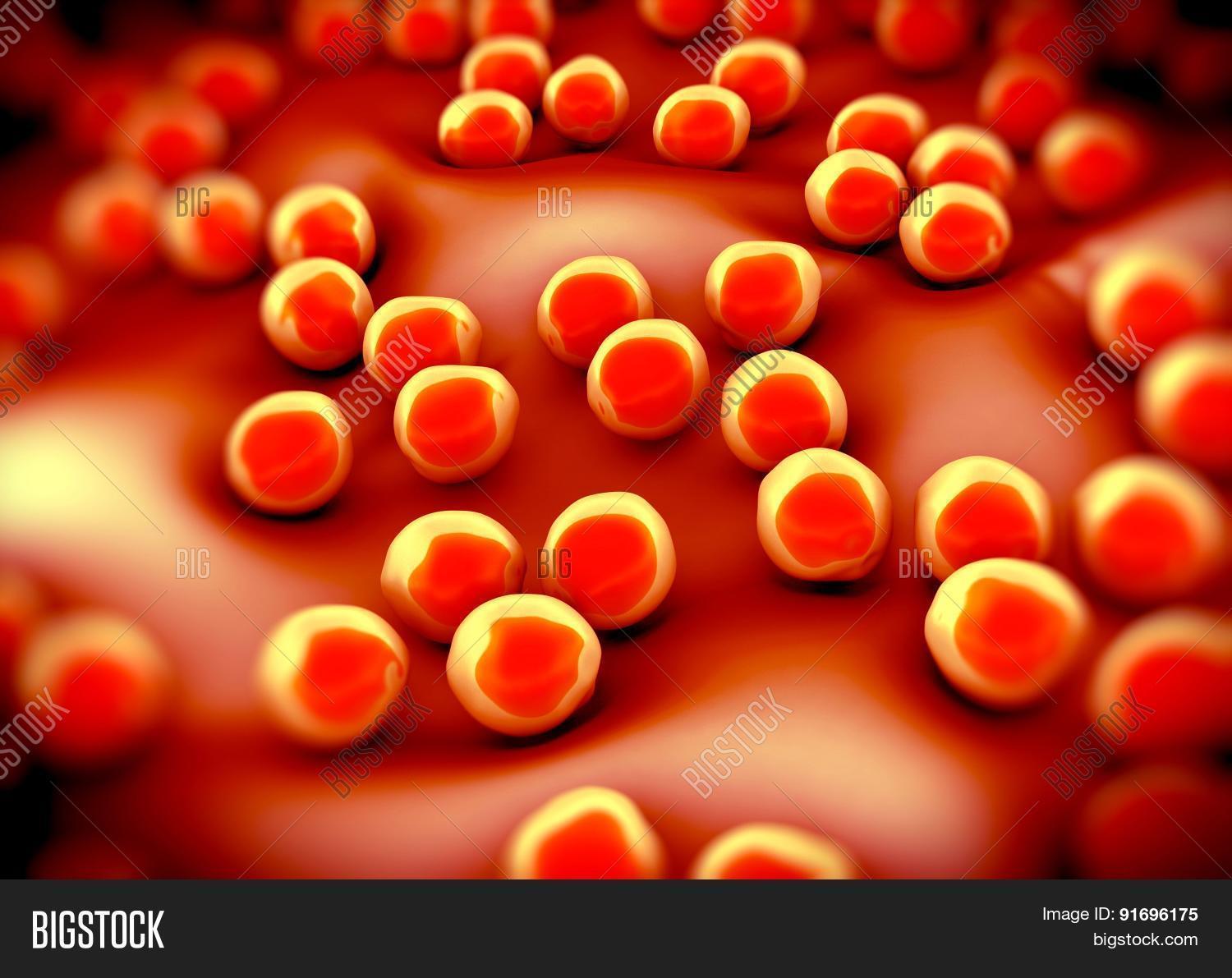 Superbug Image & Photo (Free Trial) | Bigstock