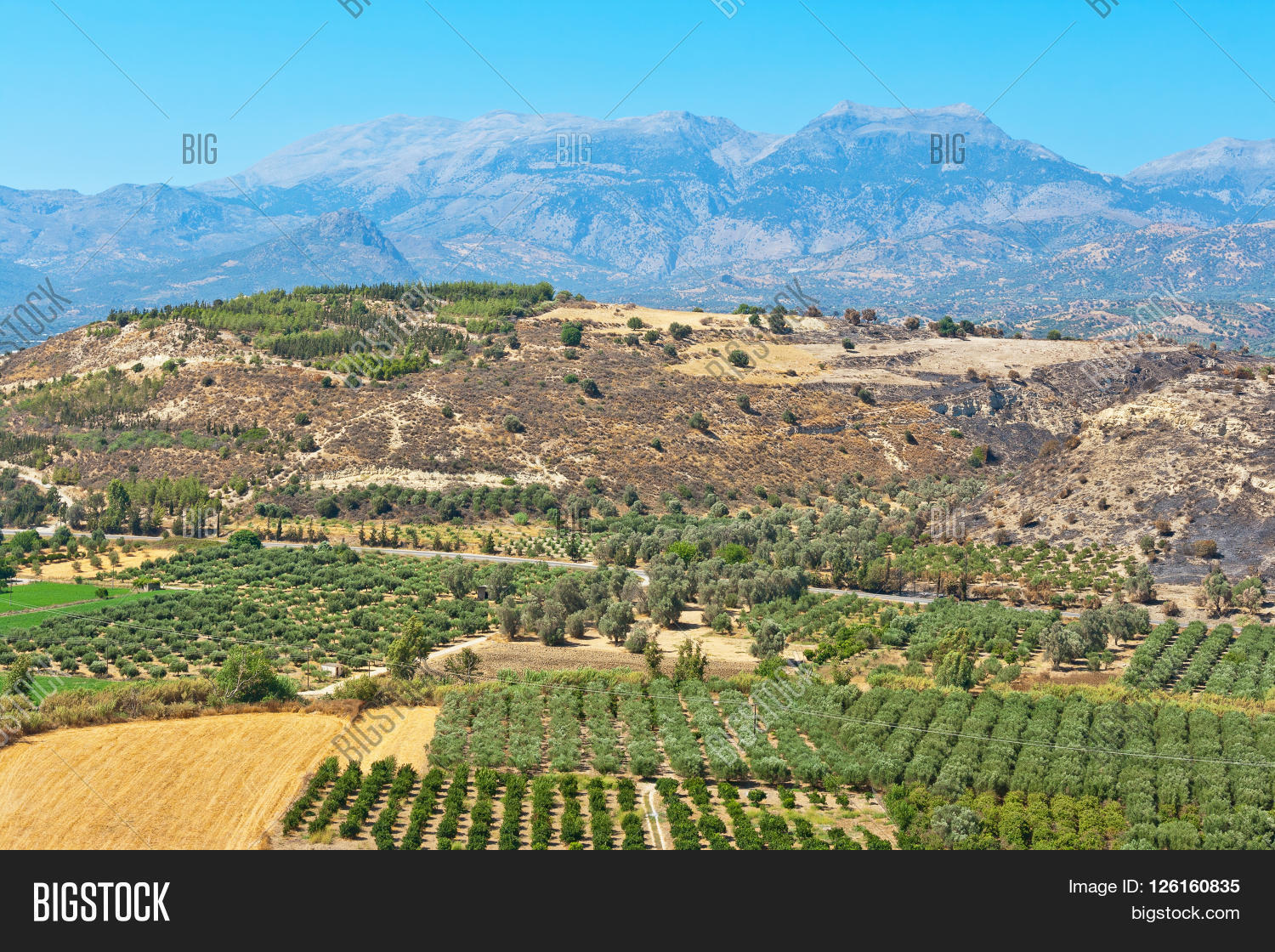 View Messara Plain Image & Photo (Free Trial) | Bigstock