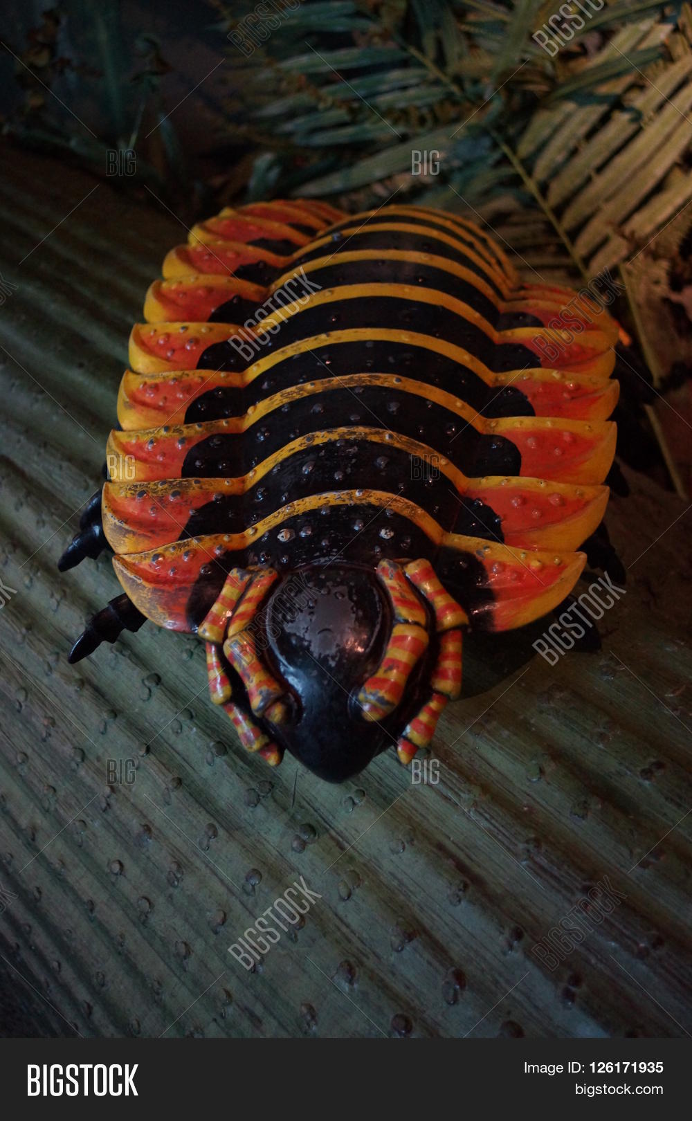 Arthropleura - Large Image & Photo (Free Trial) | Bigstock