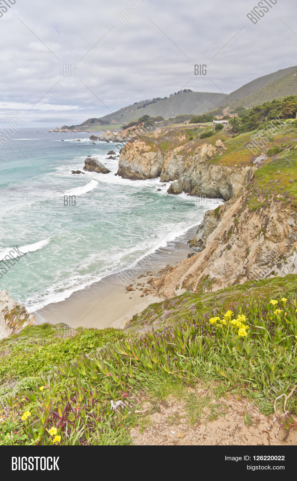 Beach Garrapata State Image & Photo (Free Trial) | Bigstock