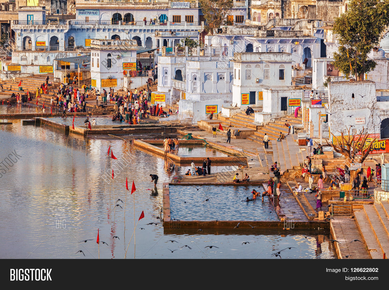 PUSHKAR, INDIA - Image & Photo (Free Trial) | Bigstock