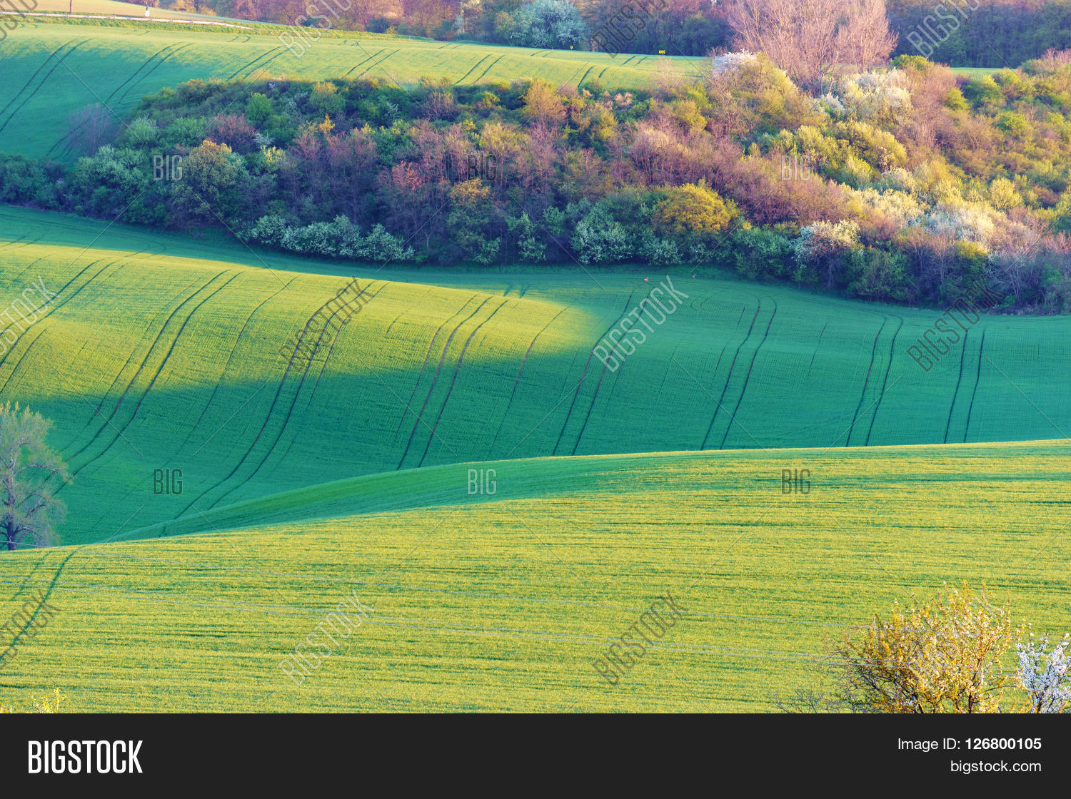 Moravian Tuscany Image & Photo (Free Trial) | Bigstock