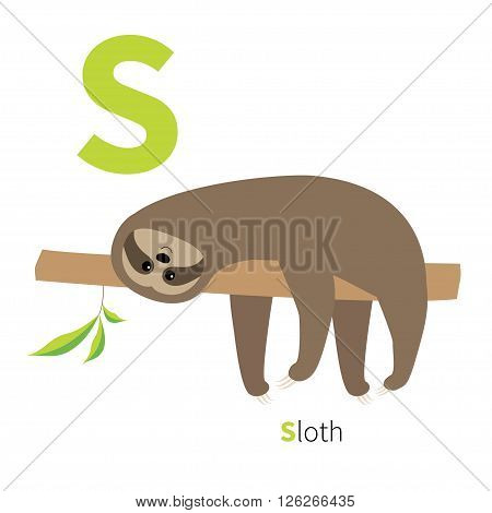 Letter S Sloth Vector & Photo (Free Trial) | Bigstock