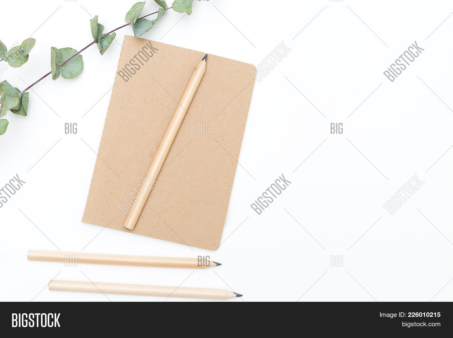 Diary Entries On White Image & Photo (Free Trial) | Bigstock