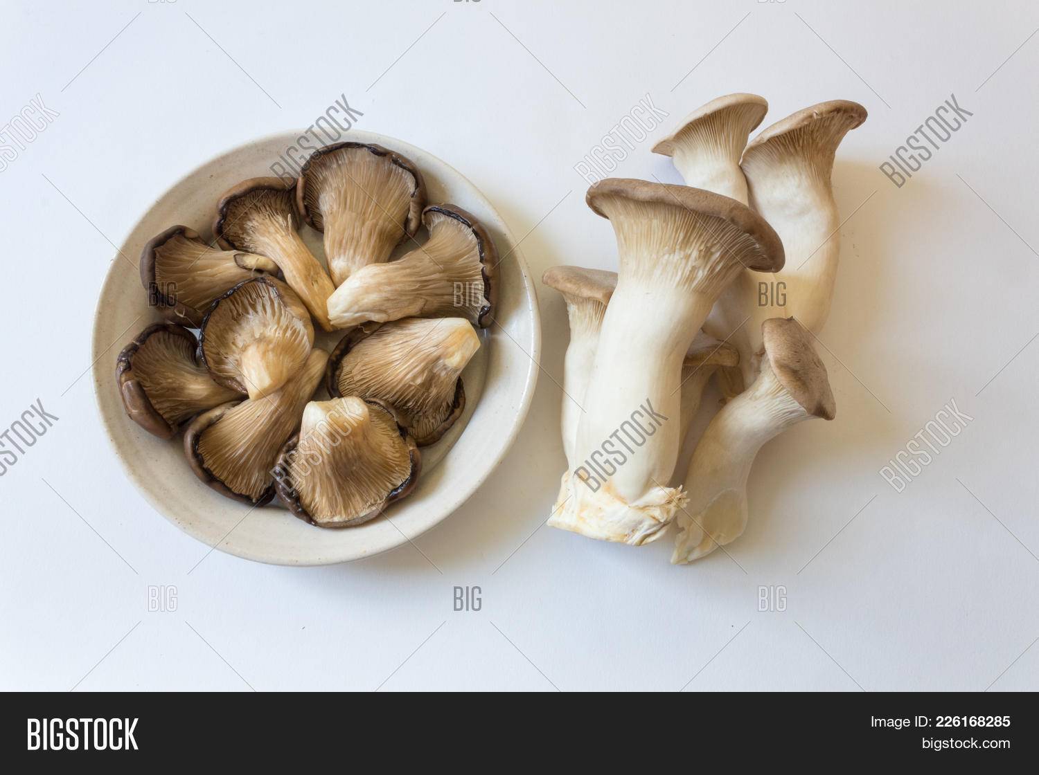 Collection Pleurotus Image & Photo (Free Trial) | Bigstock