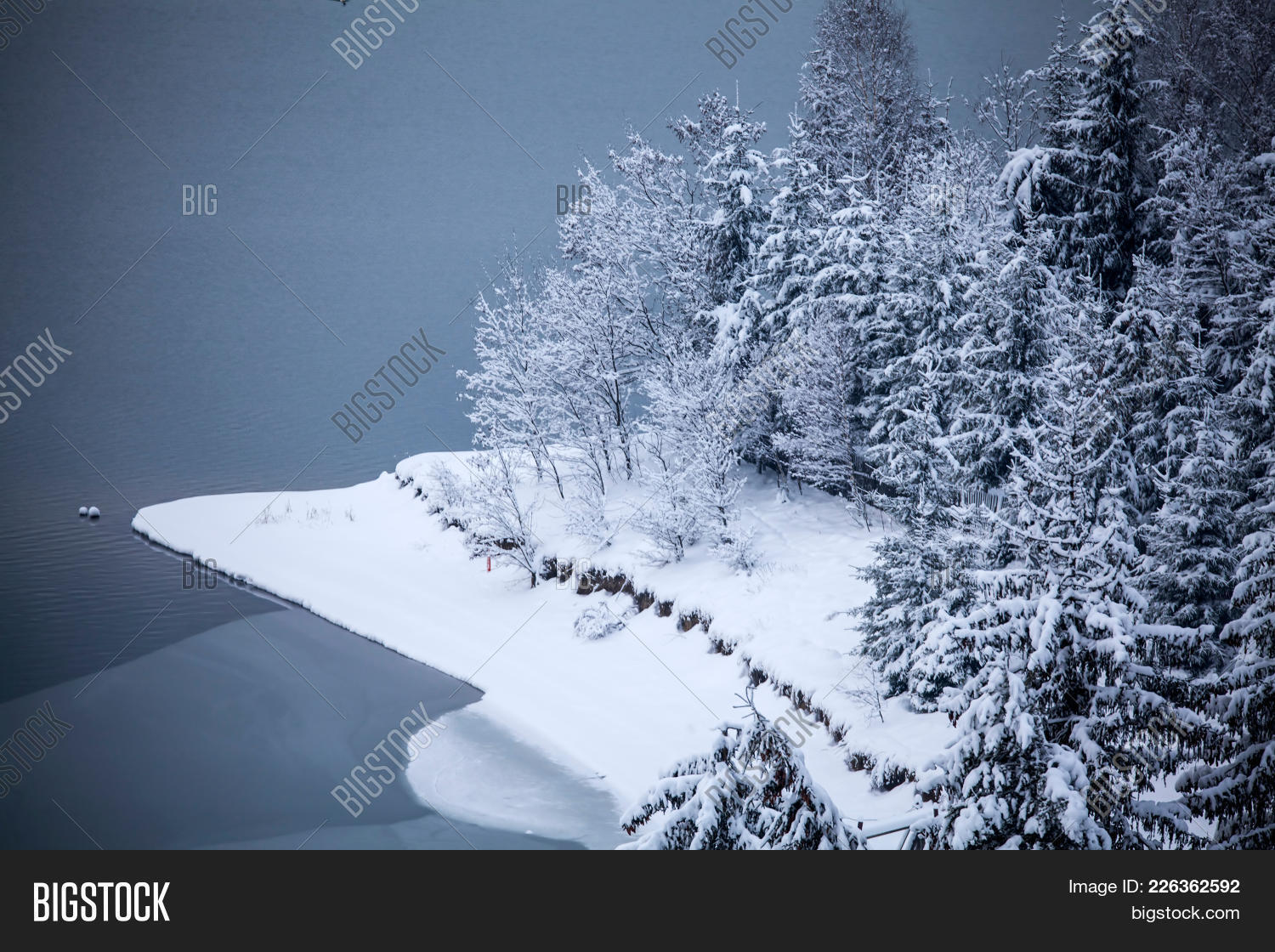 Frozen Lake Pine Trees Image & Photo (Free Trial) | Bigstock