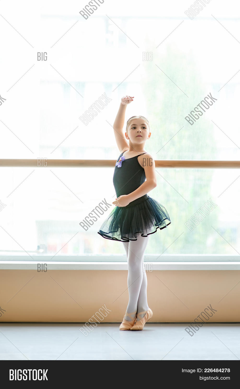 Beautiful Ballet Poses