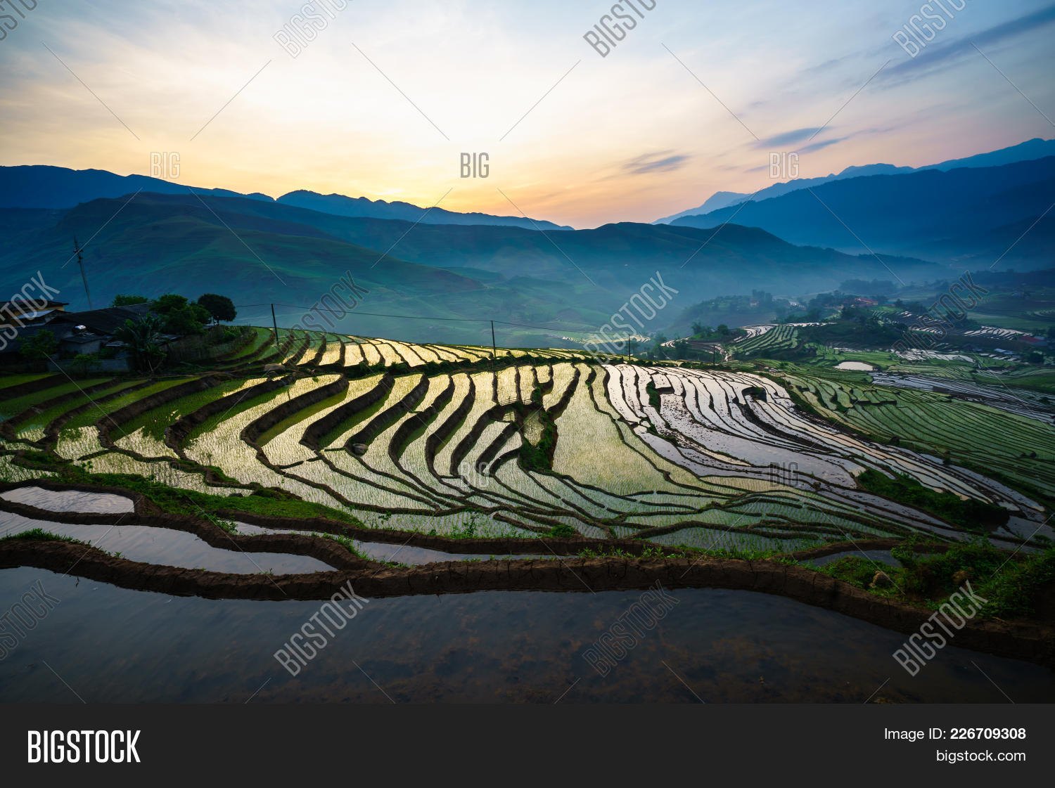 Terraced Rice Field Image & Photo (Free Trial) | Bigstock