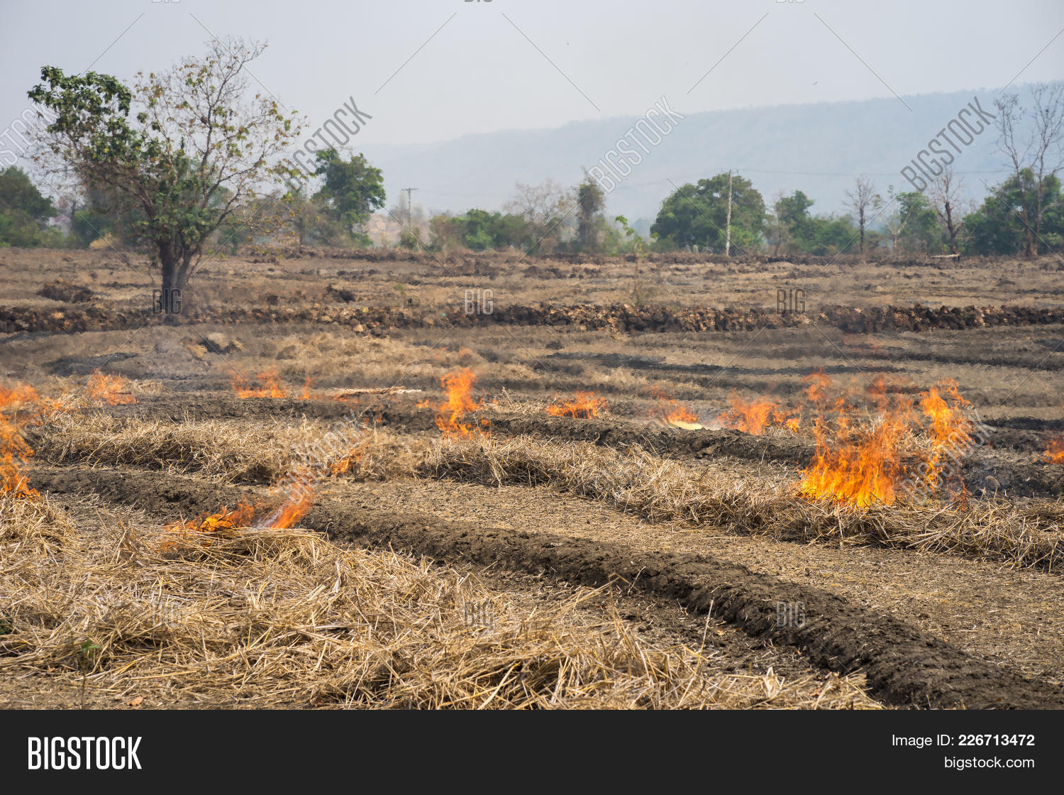 Countryside Field Fire Image & Photo (Free Trial) | Bigstock