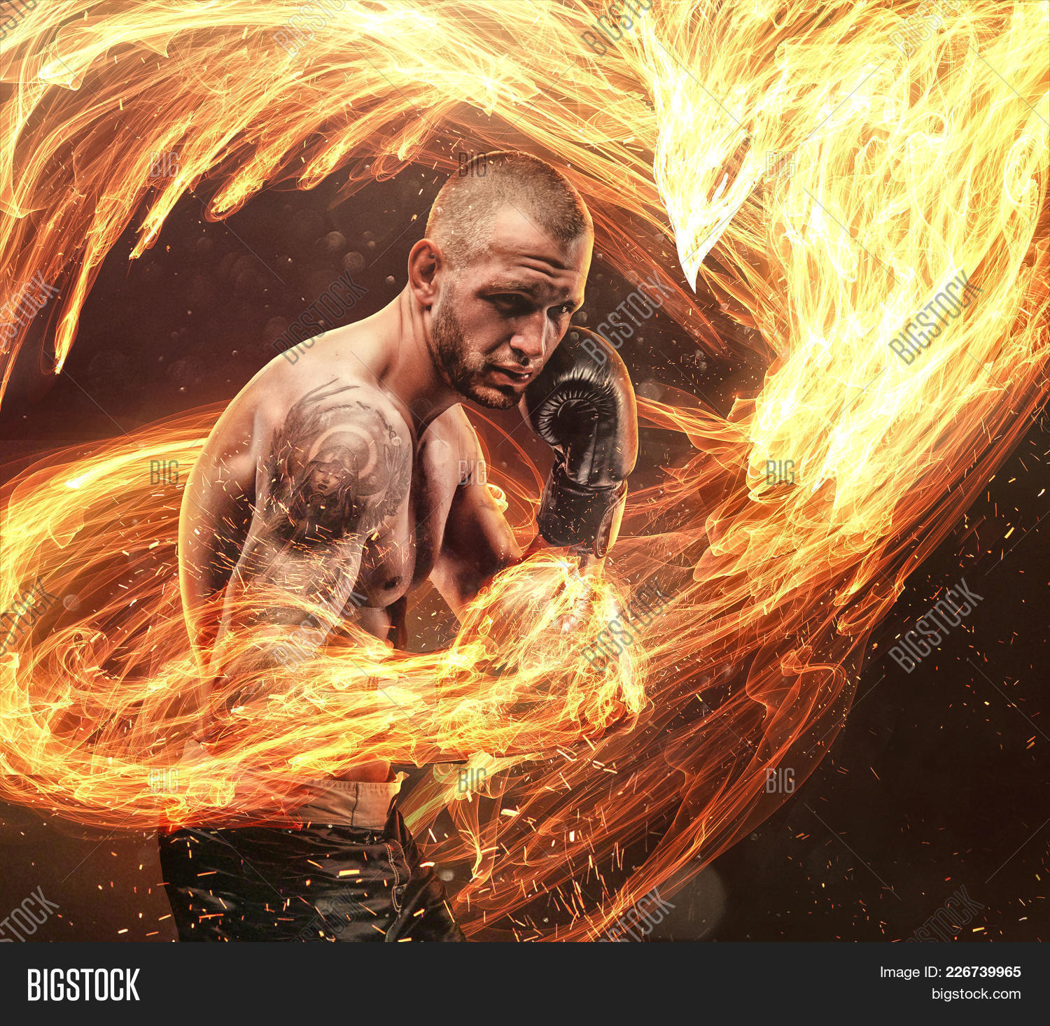 Fighter Phoenix Fire Image & Photo (Free Trial) | Bigstock