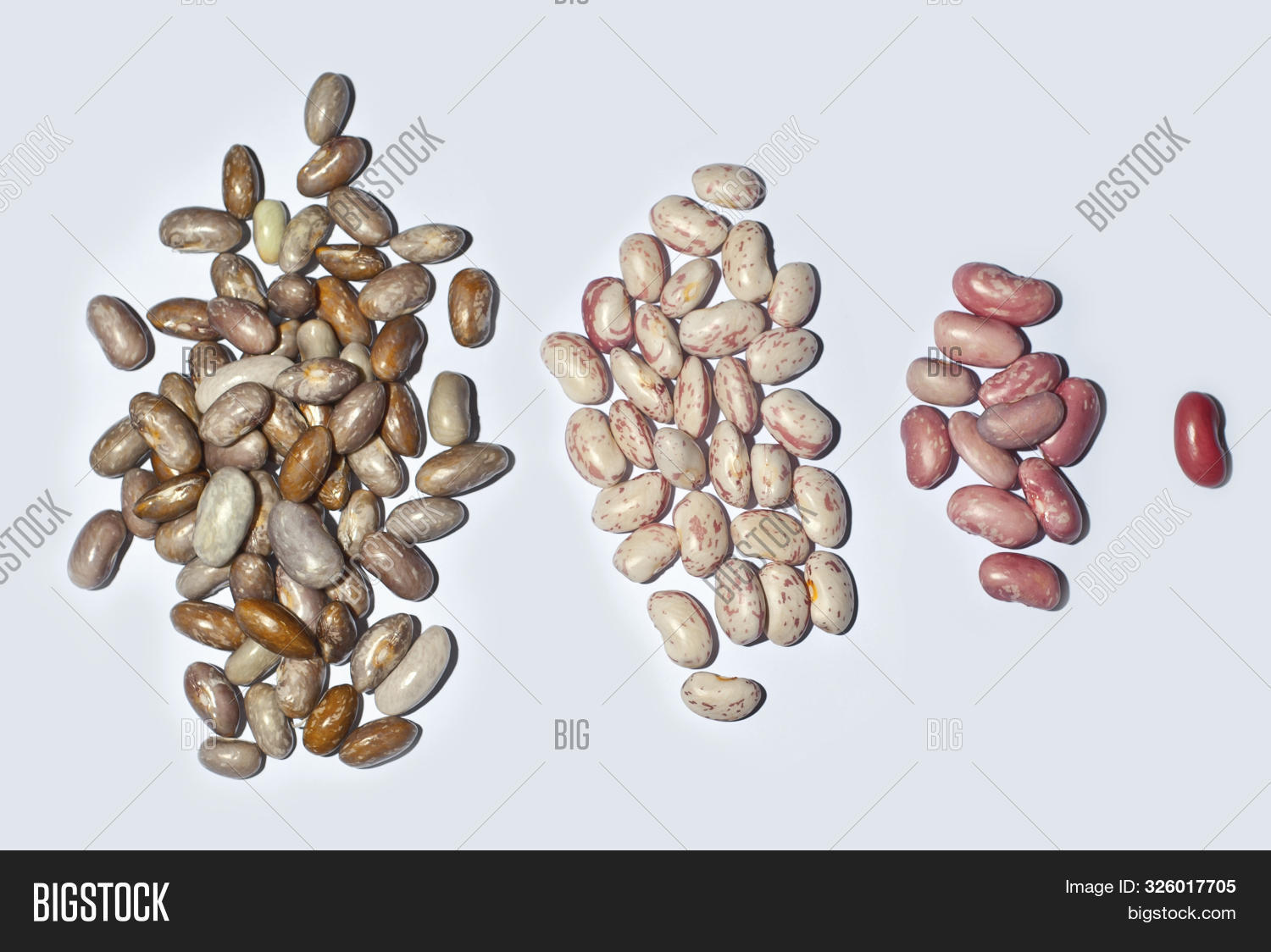 Many Beans Sorted By Image & Photo (Free Trial) | Bigstock