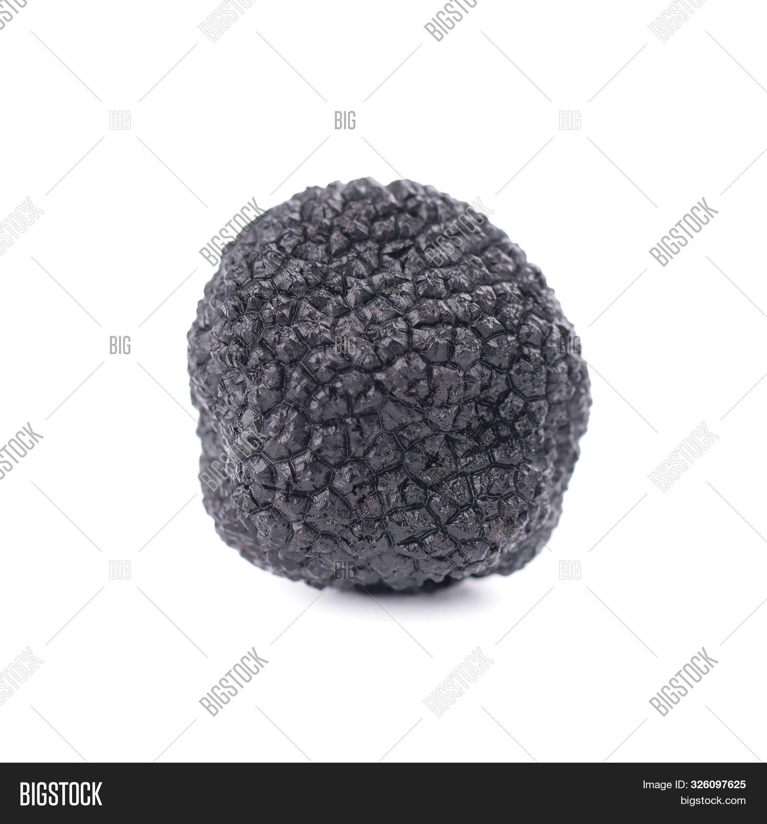 Black Truffles Image & Photo (Free Trial) | Bigstock