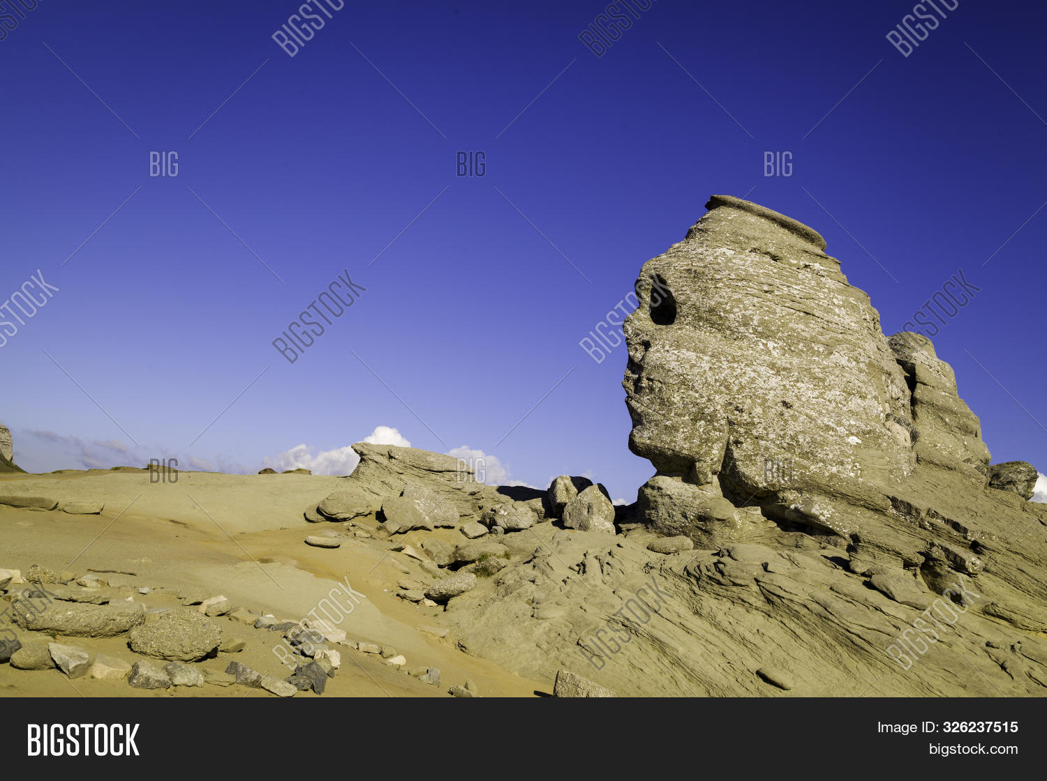 Phenomenal Image & Photo (Free Trial) | Bigstock